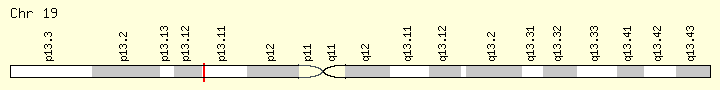 AP1M1基因详情-基因数据库-基因云馆