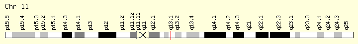 PRDX5基因详情-基因数据库-基因云馆