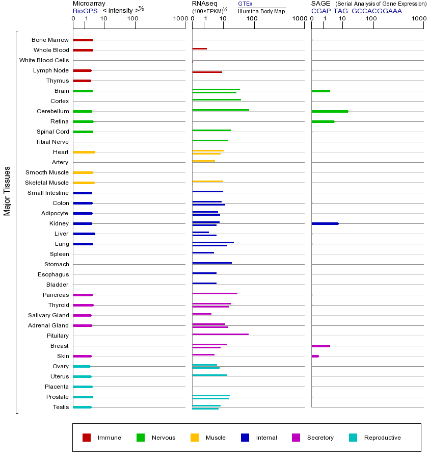 ABCC8基因详情-基因数据库-基因云馆