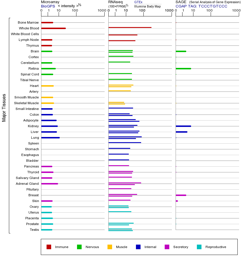 ALPL基因详情-基因数据库-基因云馆