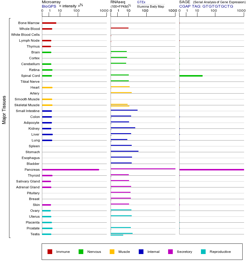 CELA3A基因详情-基因数据库-基因云馆