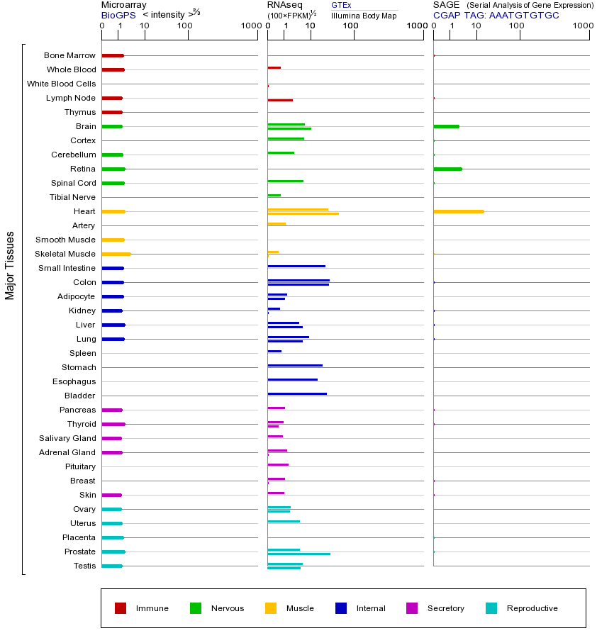 CHRM2基因详情-基因数据库-基因云馆