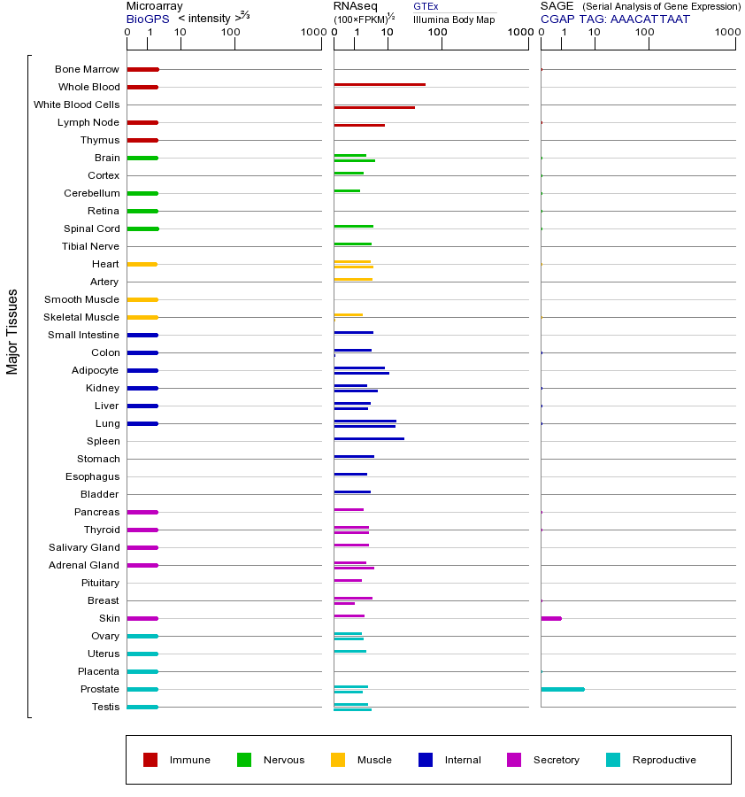 CLEC4D基因详情-基因数据库-基因云馆