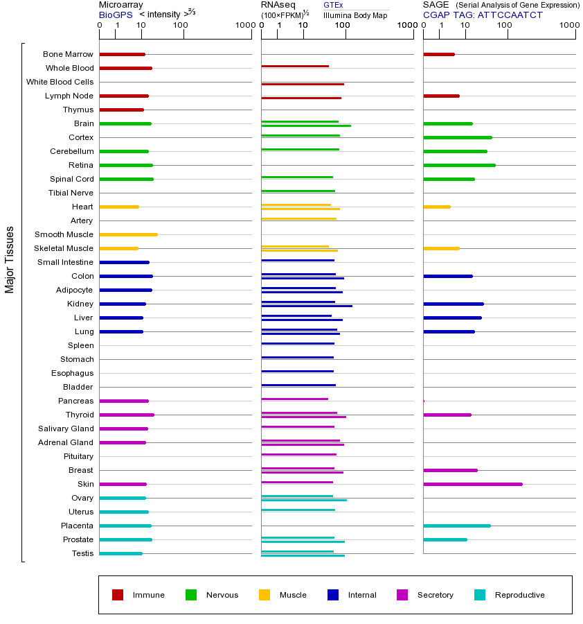 CLTC基因详情-基因数据库-基因云馆