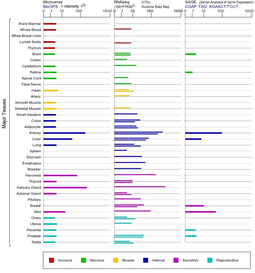 DEFB1基因详情-基因数据库-基因云馆