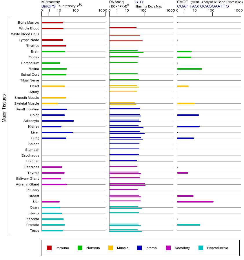 FDPS基因详情-基因数据库-基因云馆