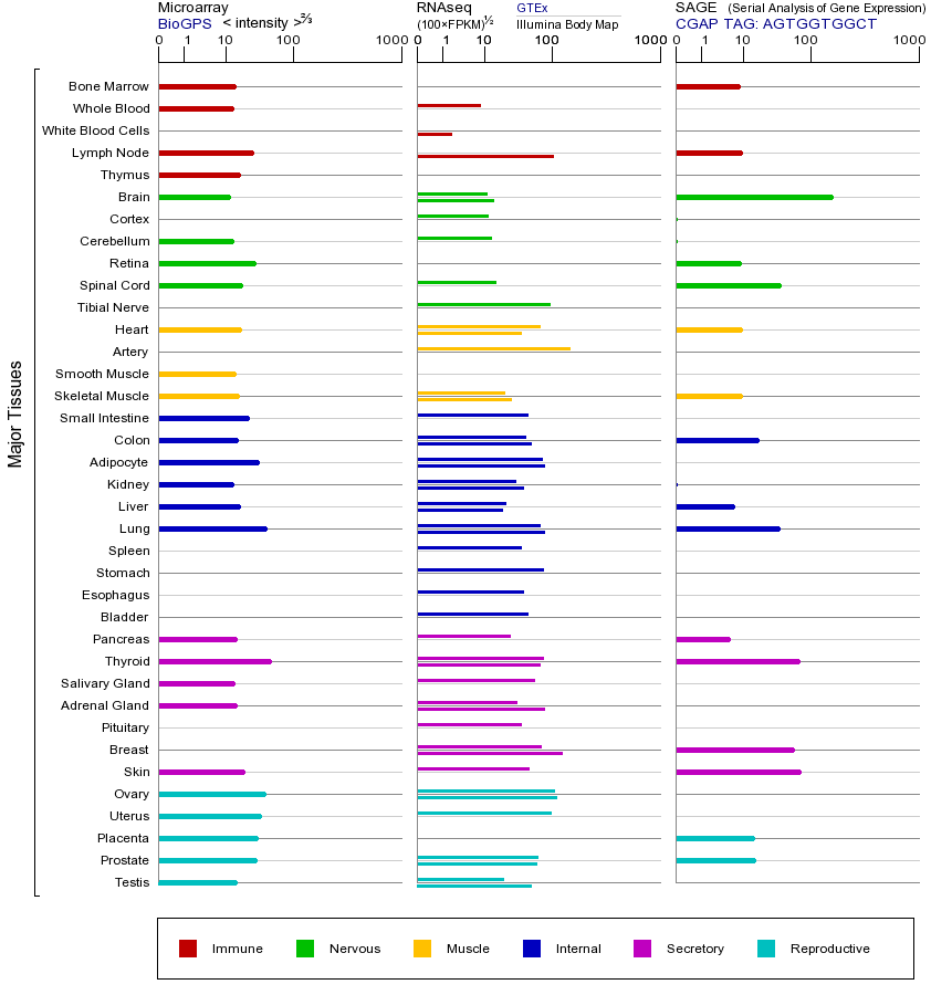 FMOD基因详情-基因数据库-基因云馆