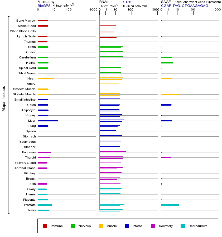 GCAT基因详情-基因数据库-基因云馆