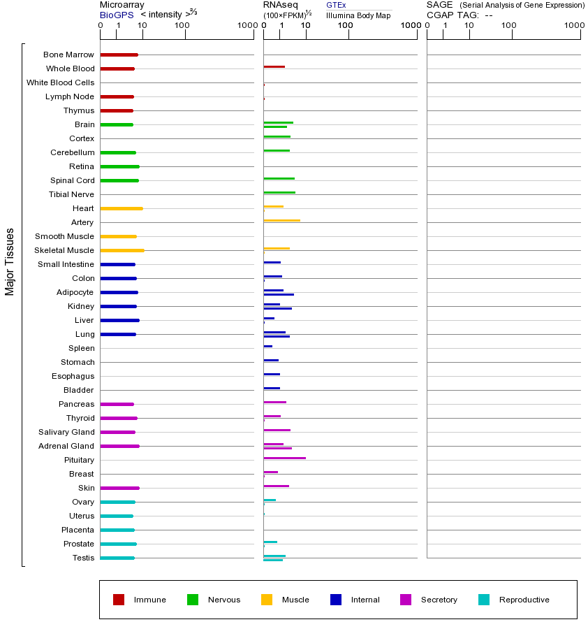 IBSP基因详情-基因数据库-基因云馆