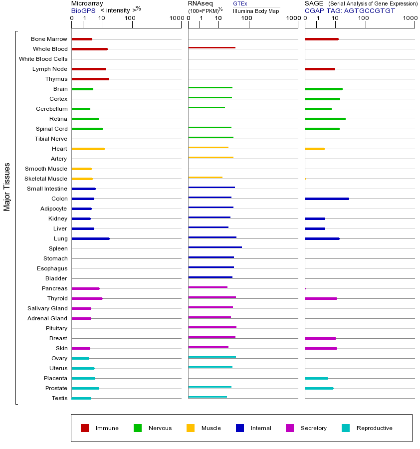 MX1基因详情-基因数据库-基因云馆