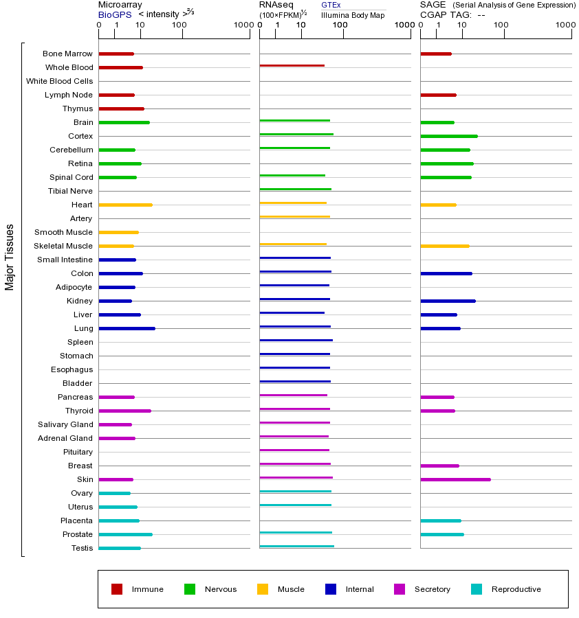 NELFB基因详情-基因数据库-基因云馆