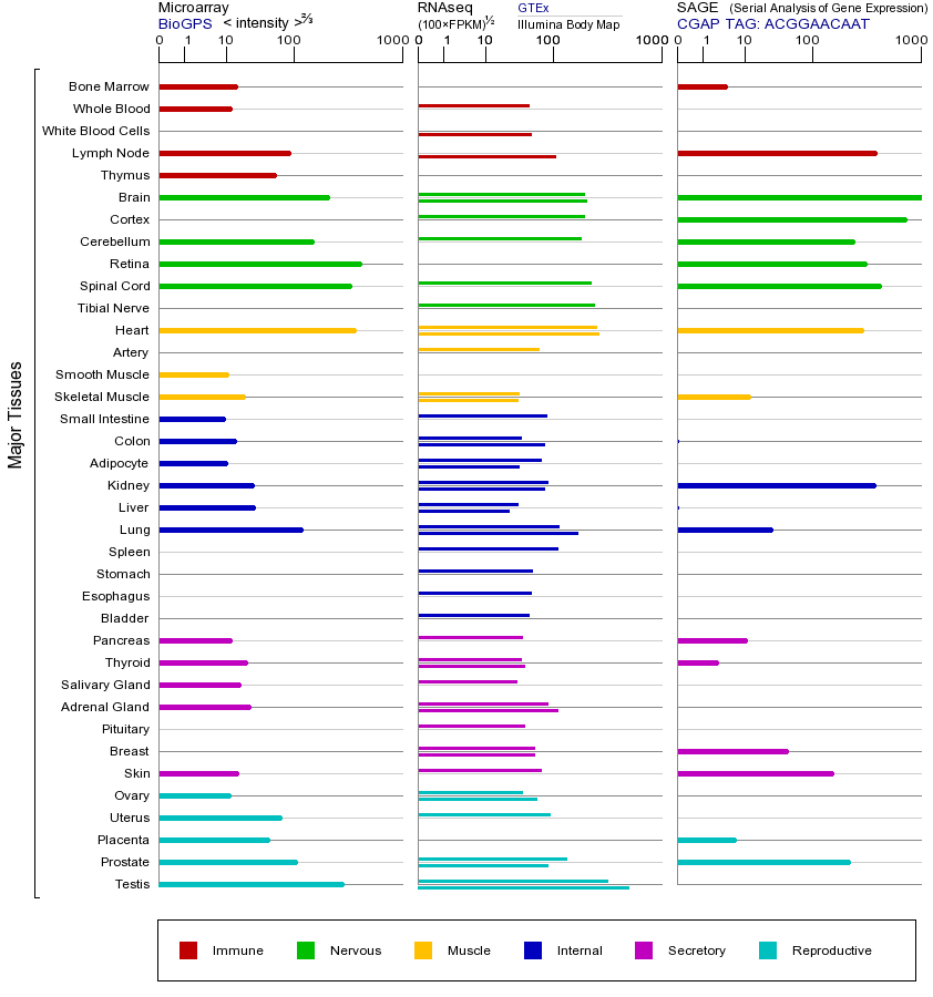 PTGDS基因详情-基因数据库-基因云馆