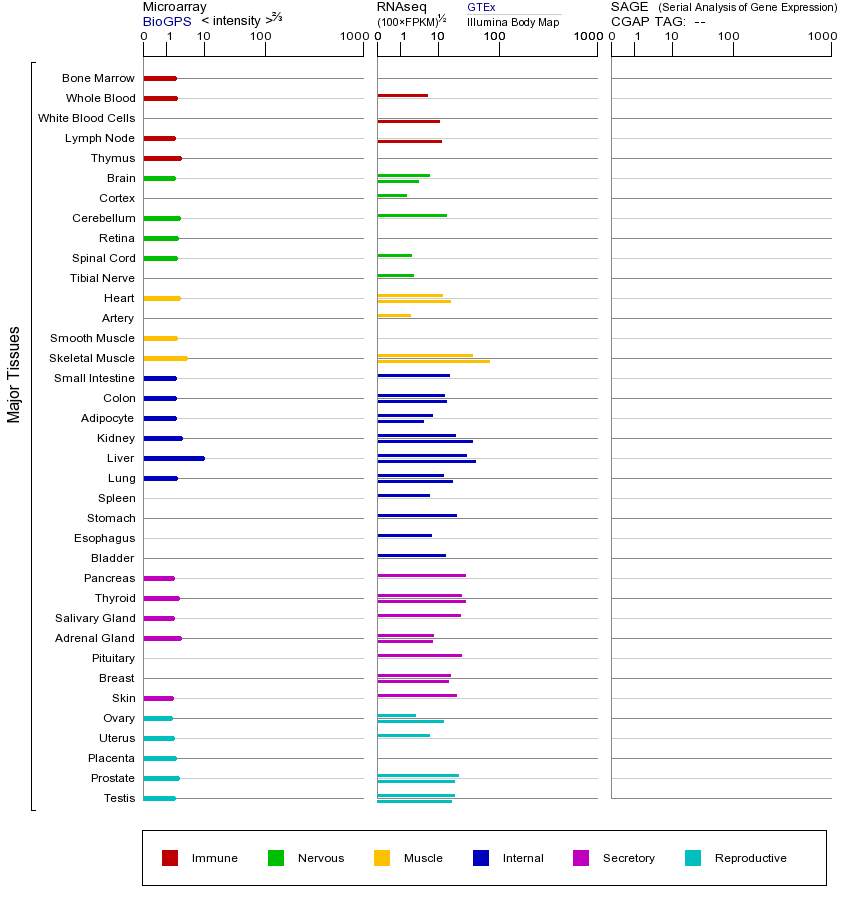 RORC基因详情-基因数据库-基因云馆