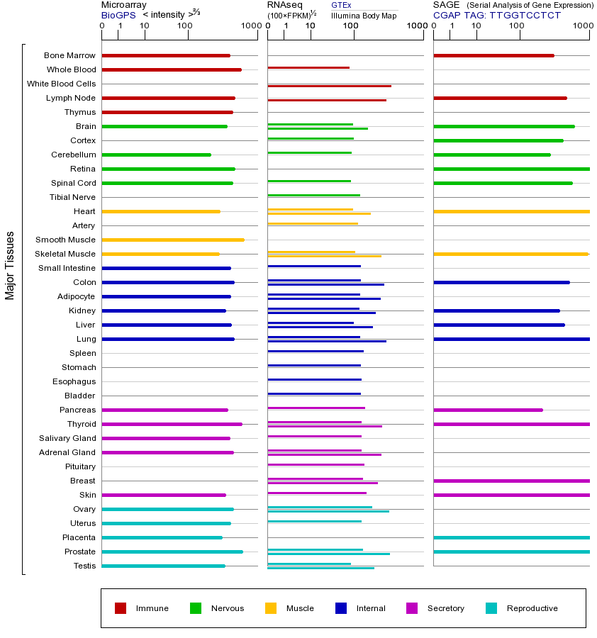 RPL41基因详情-基因数据库-基因云馆