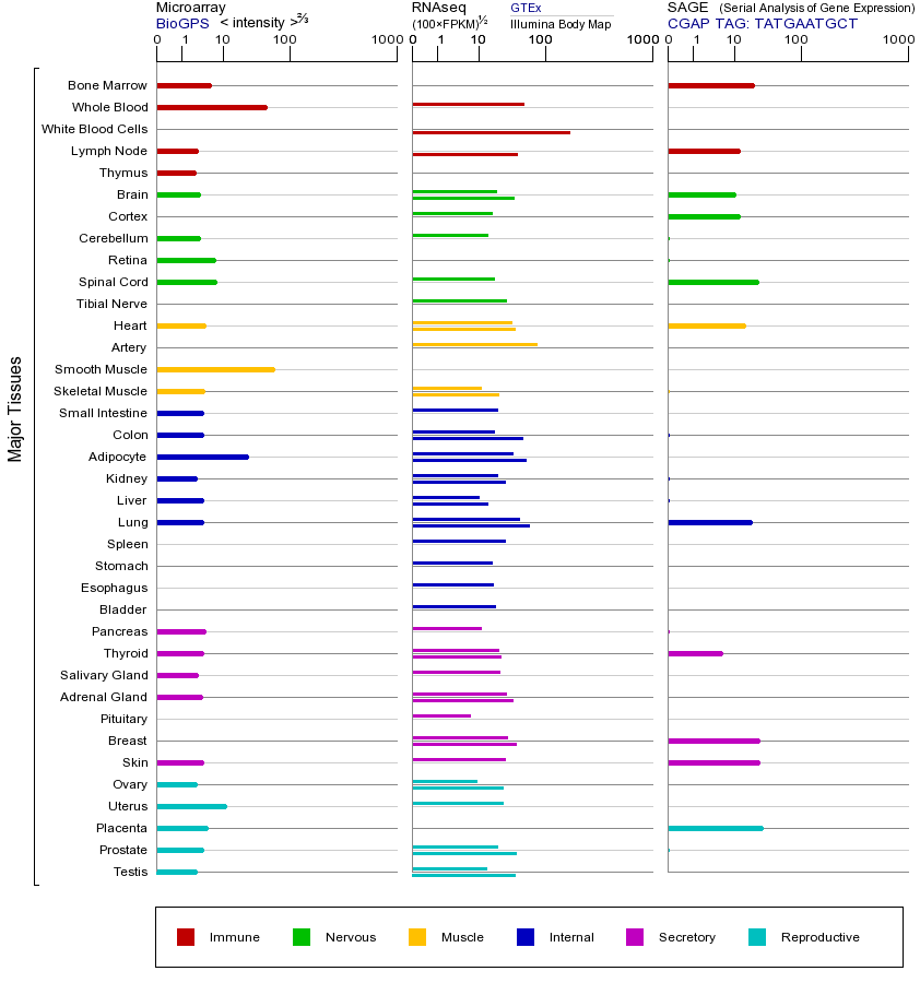 VCAN基因详情-基因数据库-基因云馆